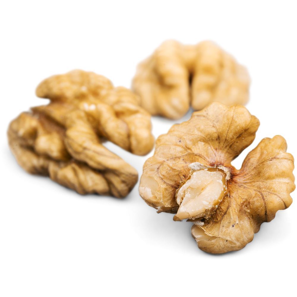 Tienda - Paltas Requena